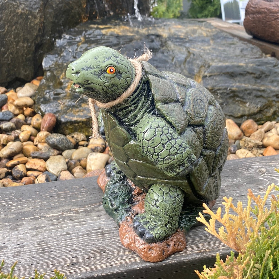 Upright Turtle – Meadows Way Garden Center