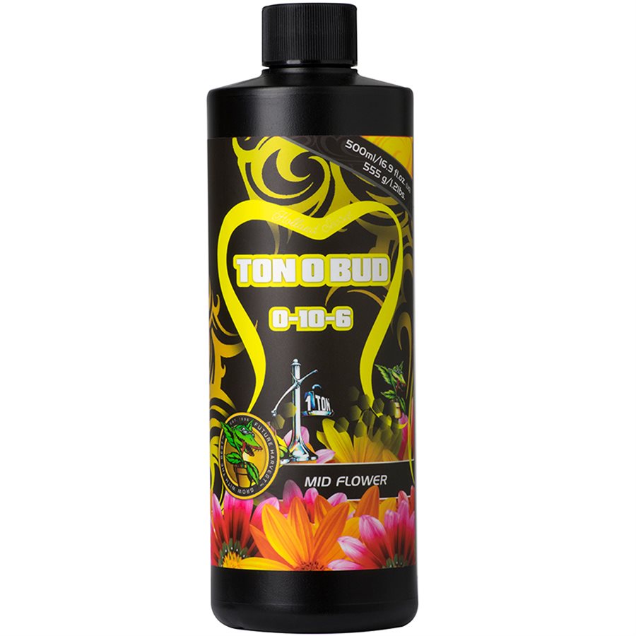 Holland Secret - Ton-O-Bud – Meadows Way Garden Center